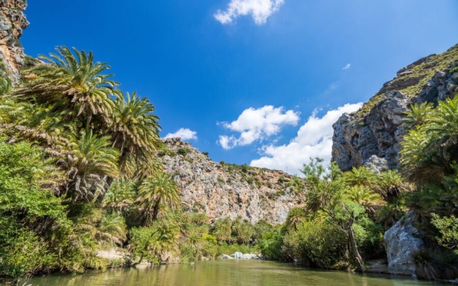 From Heraklion: Preveli Natural Palm Forest & Exotic Beach - What’s the Value?