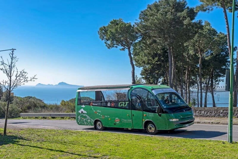 From Herculaneum : Panoramic Open tour Destination Vesuvio - Analyzing the Experience
