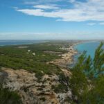 From Ibiza: Ferry and Guided Bus Excursion in Formentera - A Thorough Look at the Tour Experience
