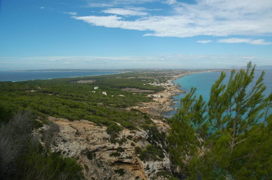 From Ibiza: Ferry and Guided Bus Excursion in Formentera - A Thorough Look at the Tour Experience