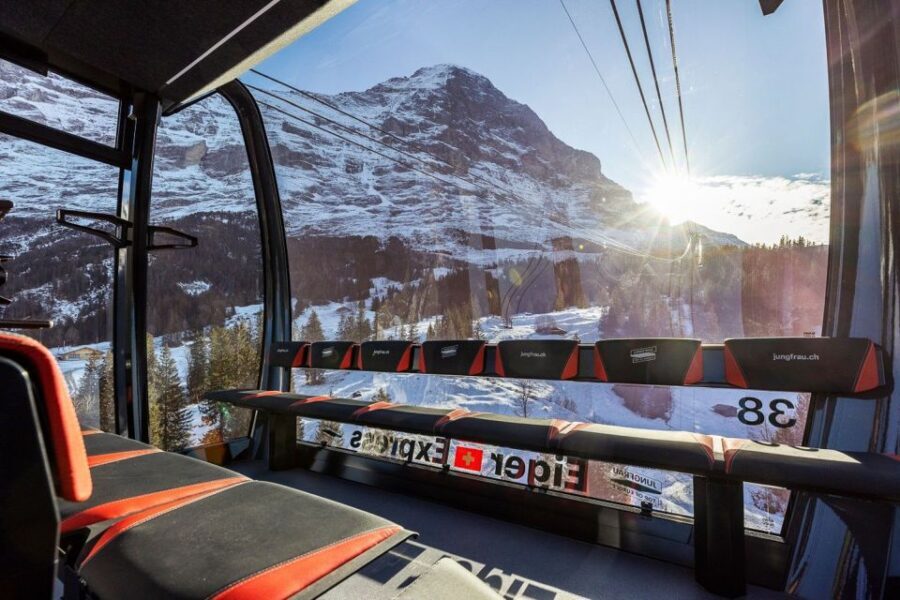 From Interlaken: Day Trip to Jungfraujoch by Bus and Train - Guides and Group Dynamics