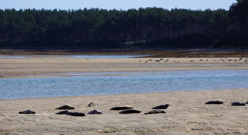From Invergordon: Private Northern Highlands Shore Excursion - A Thorough Breakdown of the Experience
