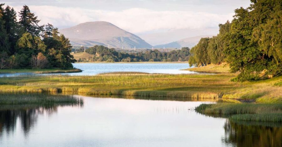 From Inverness: Cairngorms National Park and Whisky Tour - The Value of the Tour