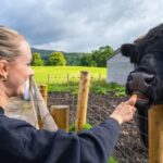 From Inverness: Cawdor Castle, Clava Cairns & The Cairngorms - The Practicalities: Transport, Timing, and Value