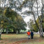 From Inverness: Glen Affric, Culloden, and Clava Cairns Tour - The Value of the Tour