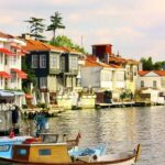 From Istanbul: Full-Day Princes Island Tour with Lunch - The essence of this experience