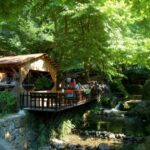 From Istanbul: Guided Day Trip to Sapanca and Masukiye - Authentic, Well-Organized, and Budget-Friendly