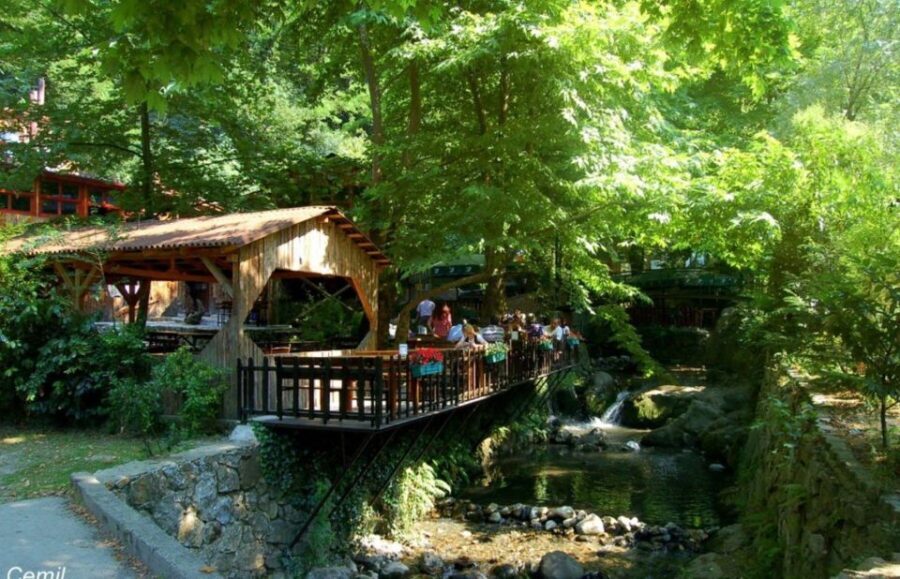 From Istanbul: Guided Day Trip to Sapanca and Masukiye - Authentic, Well-Organized, and Budget-Friendly