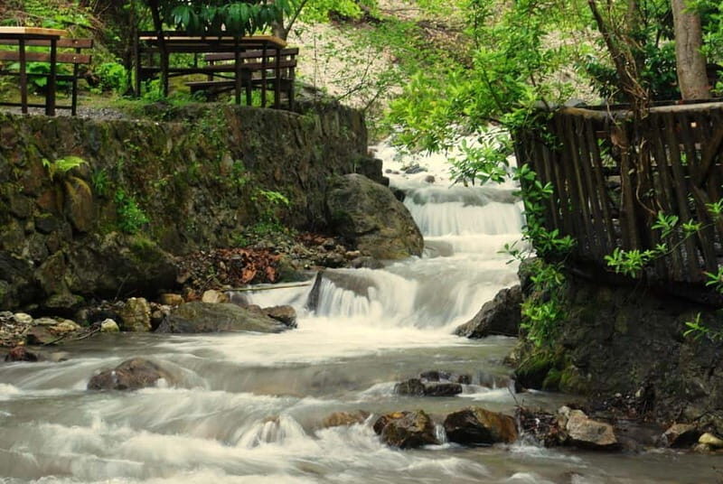 From Istanbul: Private Day Trip to Sapanca Lake and Maukiye - A Closer Look at the Itinerary