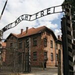 From Katowice: Auschwitz-Birkenau Skip-the-Line Guided Tour - The Atmosphere and Reflection