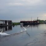 From Katwijk: Kaag Lakes Cruise - Who Will Love the Kaag Lakes Cruise?