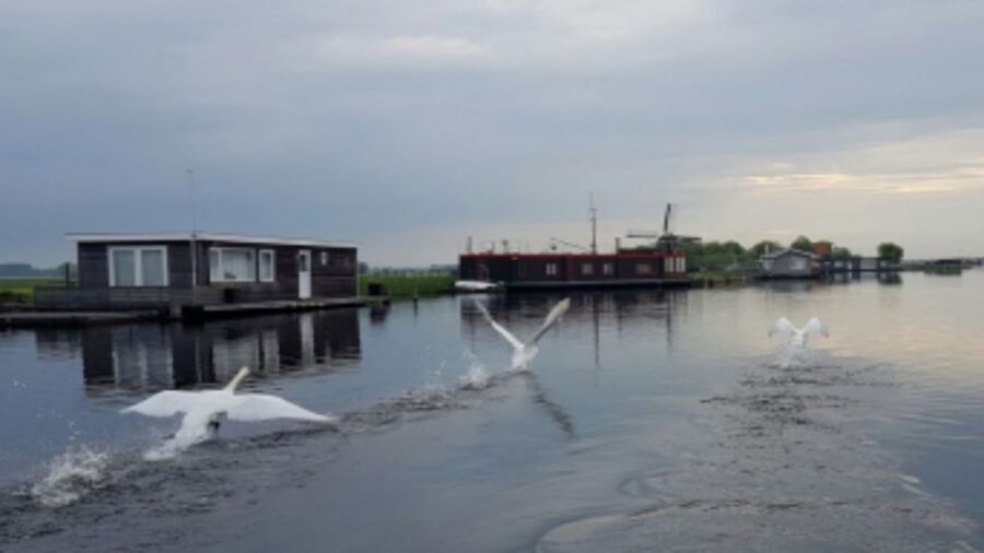 From Katwijk: Kaag Lakes Cruise - Who Will Love the Kaag Lakes Cruise?