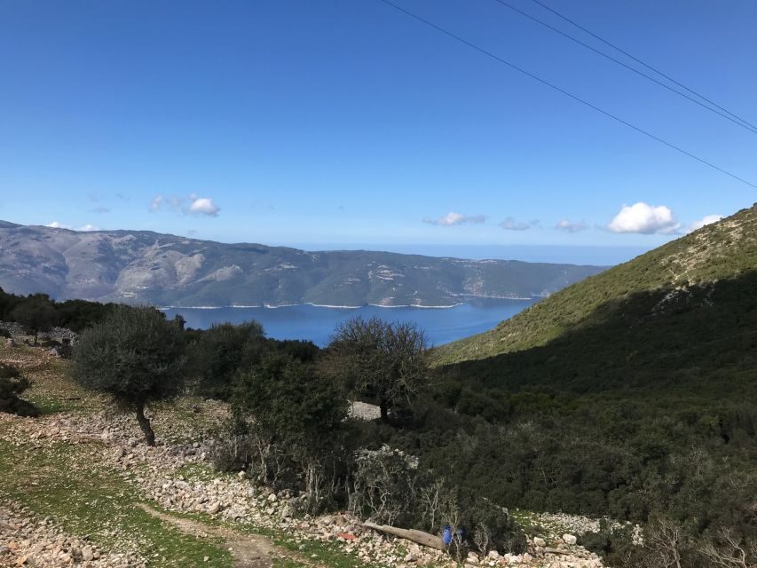 From Kefalonia: Ithaca Island Full-Day Bus Tour - What Travelers Say
