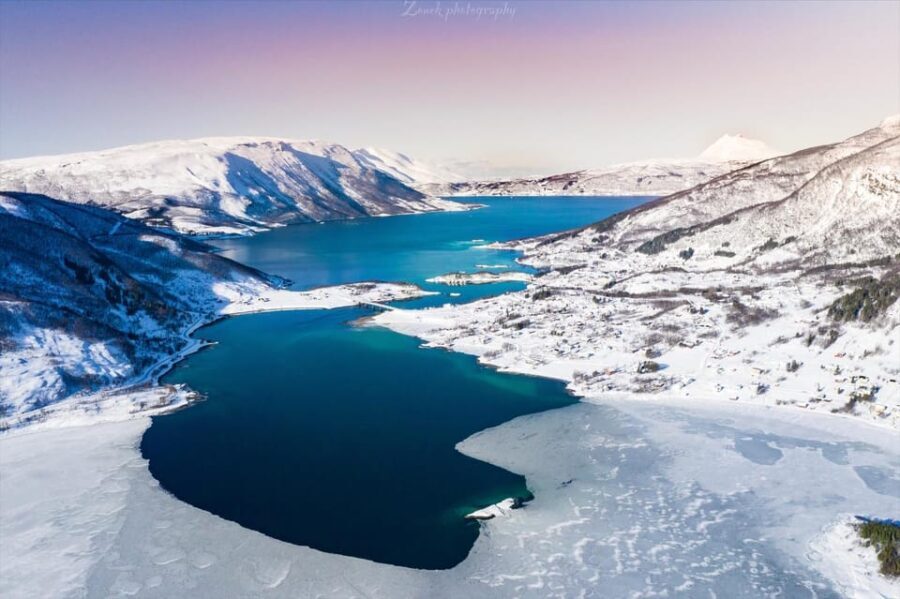 From Kiruna: Narvik City and Fjord Day Trip - Authentic Experiences and Passenger Feedback