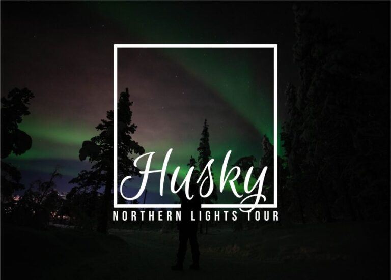 From Kiruna: Northern Lights Guided Husky Sledding Adventure - FAQ