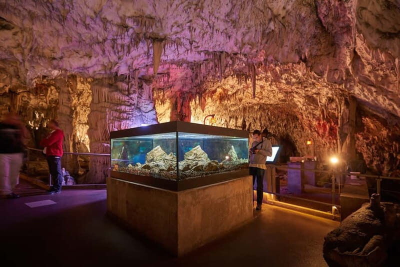 From Koper: Postojna Cave and Ljubljana Guided Tour - What to Expect: Practical Details for a Smooth Day