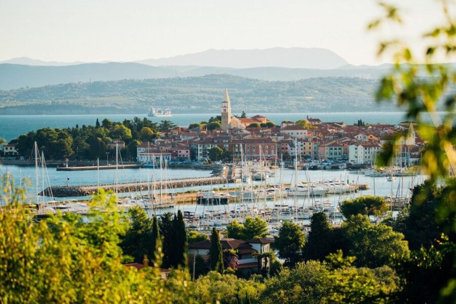 From Koper: Slovenian Riviera Bus Tour with Food Tastings - What the Reviews Say