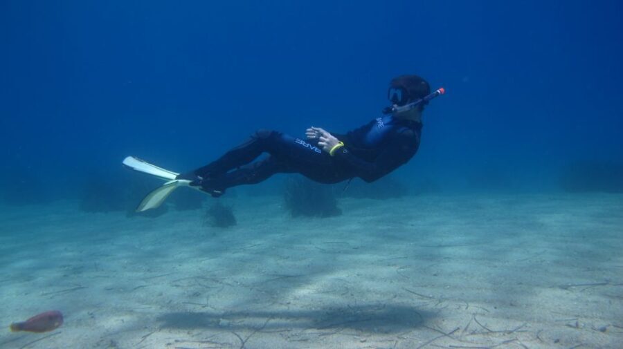 From Kos: Pserimos Island Snorkeling Cruise by Diving Boat - An In-Depth Look at the Itinerary