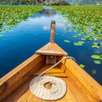 From Kotor, Budva, Tivat: Skadar Lake Boat Tour & Wine - Practical Details & Value