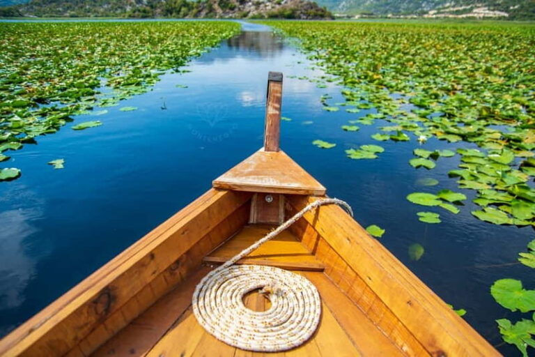 From Kotor, Budva, Tivat: Skadar Lake Boat Tour & Wine - Practical Details & Value