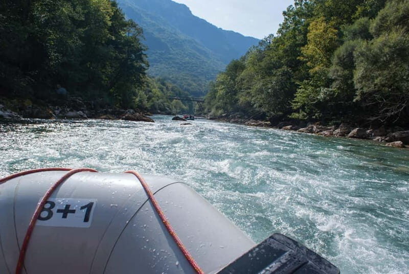 From Kotor: Montenegro Tara Rafting - Stop at Kotor Municipality for a Photo Break