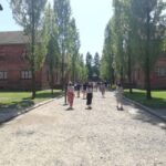 From Krakow: Auschwitz-Birkenau and Self-Guided Day Tour - Who Should Consider This Tour?