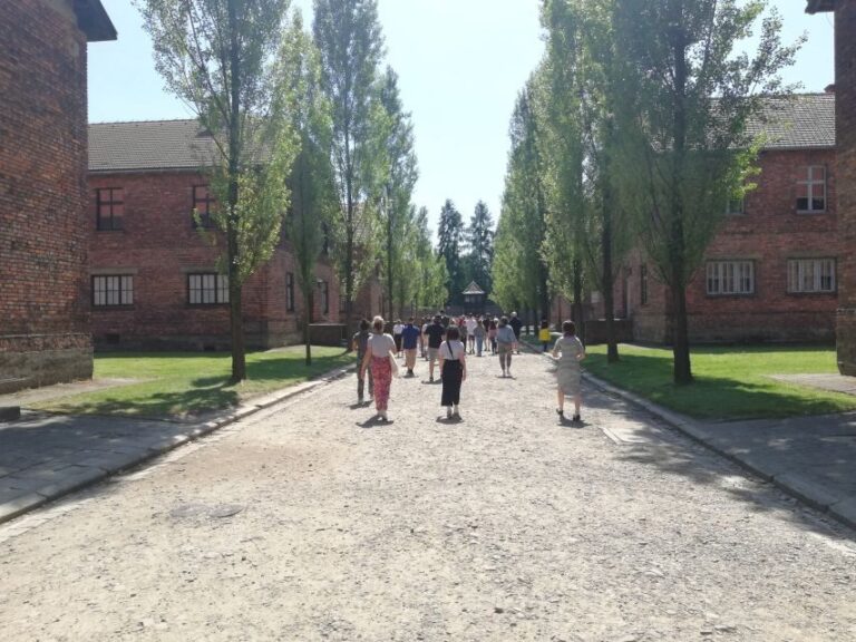 From Krakow: Auschwitz-Birkenau and Self-Guided Day Tour - Who Should Consider This Tour?