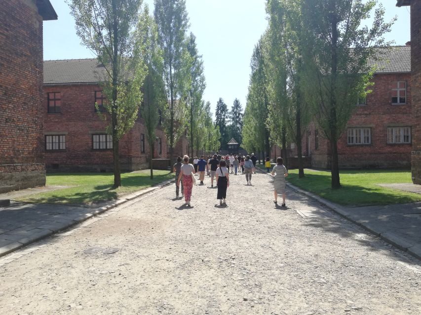 From Krakow: Auschwitz-Birkenau and Self-Guided Day Tour - Who Should Consider This Tour?