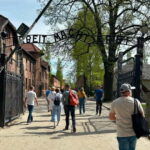 From Krakow: Auschwitz-Birkenau Guided Tour with Pickup - The Itinerary: What You’ll Actually See and Do