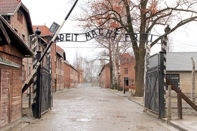 From Krakow: Auschwitz-Birkenau Memorial and Museum Guided Tour - Exploring Auschwitz: What You Can Expect