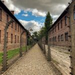 From Krakow: Auschwitz-Birkenau Memorial and Museum Tour - What the Reviews Say