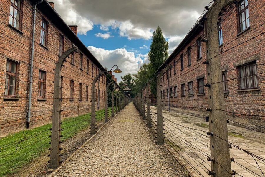From Krakow: Auschwitz-Birkenau Memorial and Museum Tour - What the Reviews Say