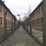 From Krakow: Auschwitz Birkenau Self-Guided Tour - Detailed Breakdown of the Experience