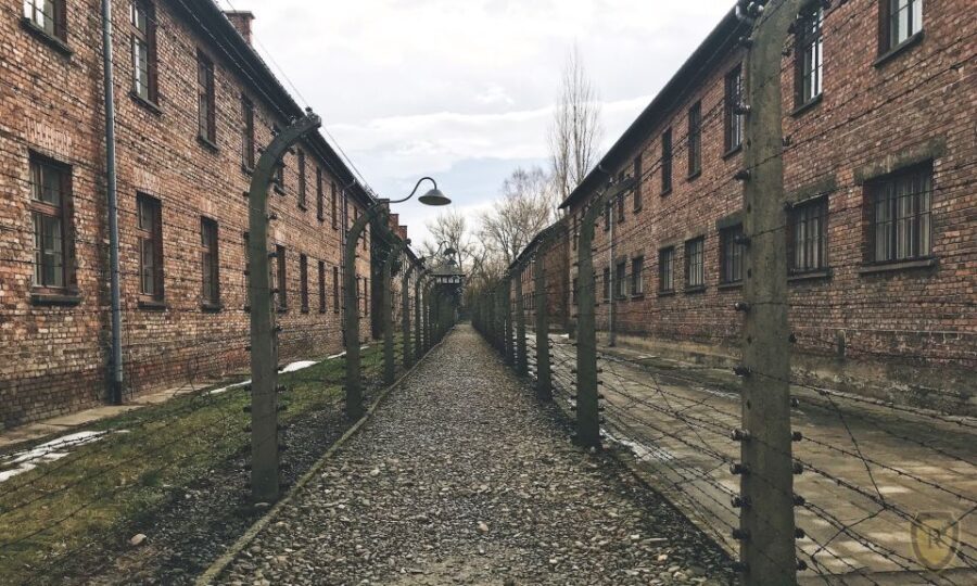 From Krakow: Auschwitz Birkenau Self-Guided Tour - Detailed Breakdown of the Experience