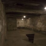 From Krakow: Auschwitz-Birkenau Tour - FAQ — Your Practical Questions Answered