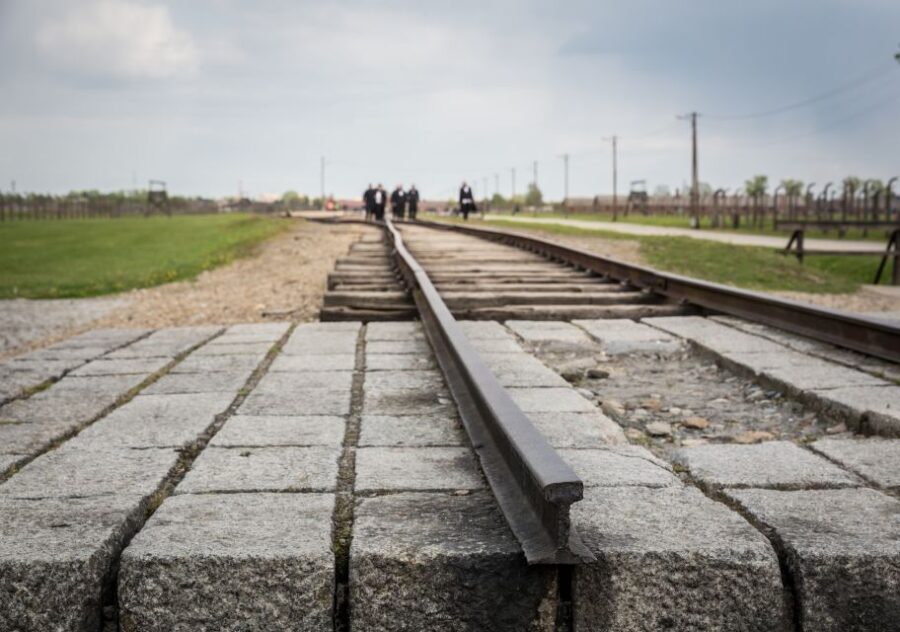 From Krakow: Auschwitz Birkenau Tour with Transfer - A Deep Dive into What This Tour Offers