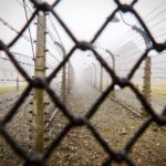 From Krakow: Auschwitz-Birkenau Tour with Transportation - The Value of This Tour