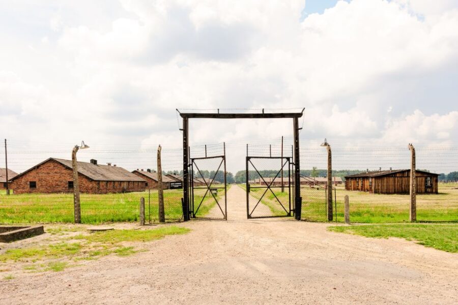 From Krakow: Auschwitz-Birkenau Tour with Transportation - Who Will Appreciate This Tour?