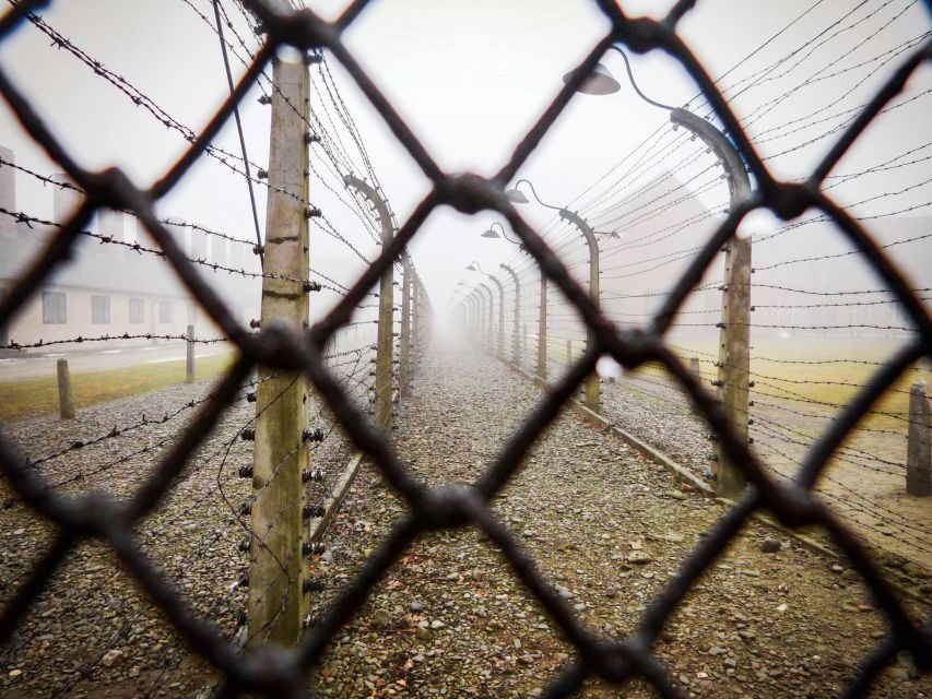 From Krakow: Auschwitz-Birkenau Tour with Transportation - The Value of This Tour