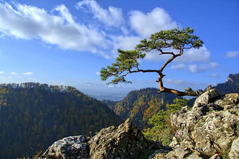 From Krakow: Full-Day Dunajec River Rafting Tour - The Scenic and Cultural Highlights