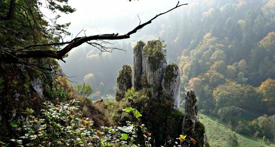From Krakow: Ojców National Park Tour - Is This Tour Right for You?