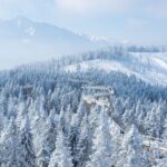 From Kraków: Slovakia Treetop Walk & 4-Hour Ski Pass - Exploring the Slovakia Treetop Walk & Ski Adventure from Kraków