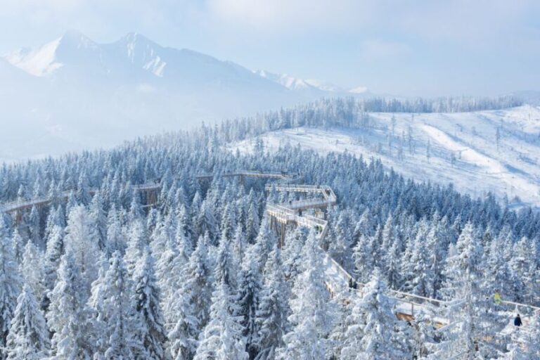 From Kraków: Slovakia Treetop Walk & 4-Hour Ski Pass - Exploring the Slovakia Treetop Walk & Ski Adventure from Kraków