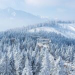 From Kraków: Slovakia Treetop Walk and Bachledka Ski - Whats Not Included and Considerations