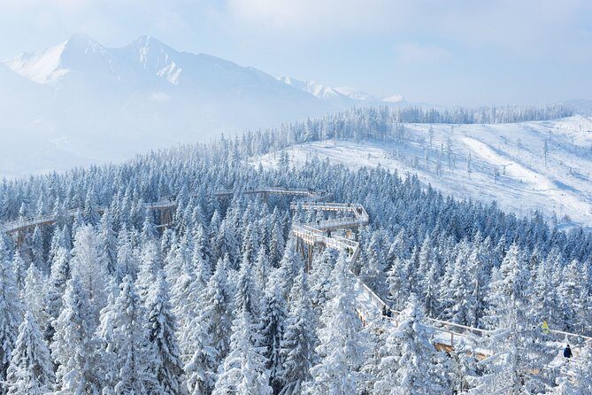From Kraków: Slovakia Treetop Walk and Bachledka Ski - Whats Not Included and Considerations