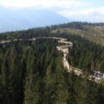 From Kraków: Slovakia Treetop Walk and Thermal Baths - Who This Tour Is Best For