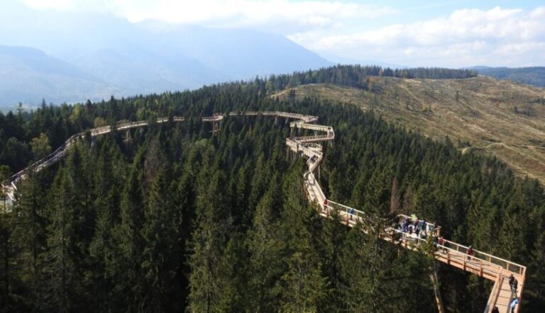 From Kraków: Slovakia Treetop Walk and Thermal Baths - Who This Tour Is Best For