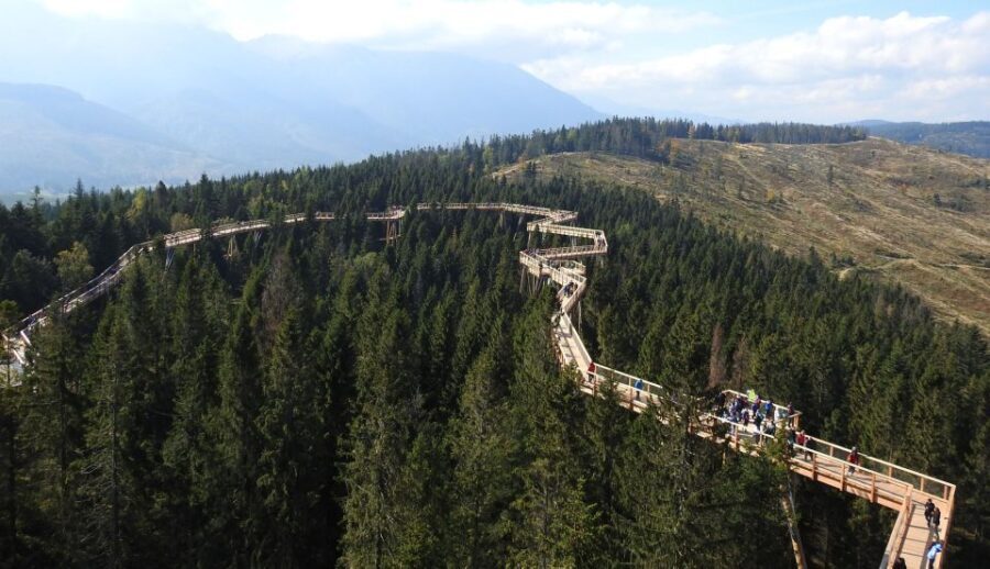 From Kraków: Slovakia Treetop Walk and Thermal Baths - Who This Tour Is Best For
