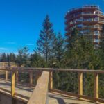 From Krakow: Treetop Walk in Slovakia and Thermal Baths Tour - The Value of the Experience