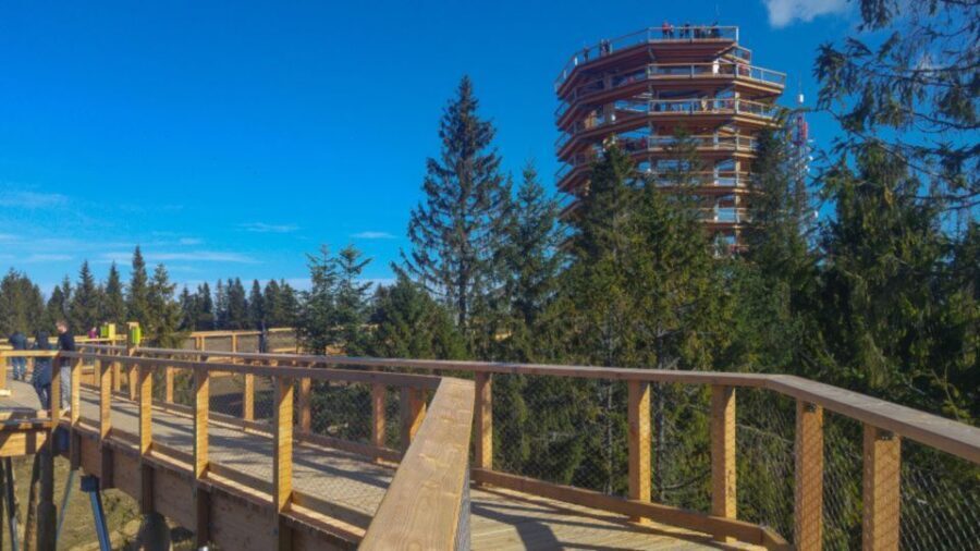 From Krakow: Treetop Walk in Slovakia and Thermal Baths Tour - The Value of the Experience